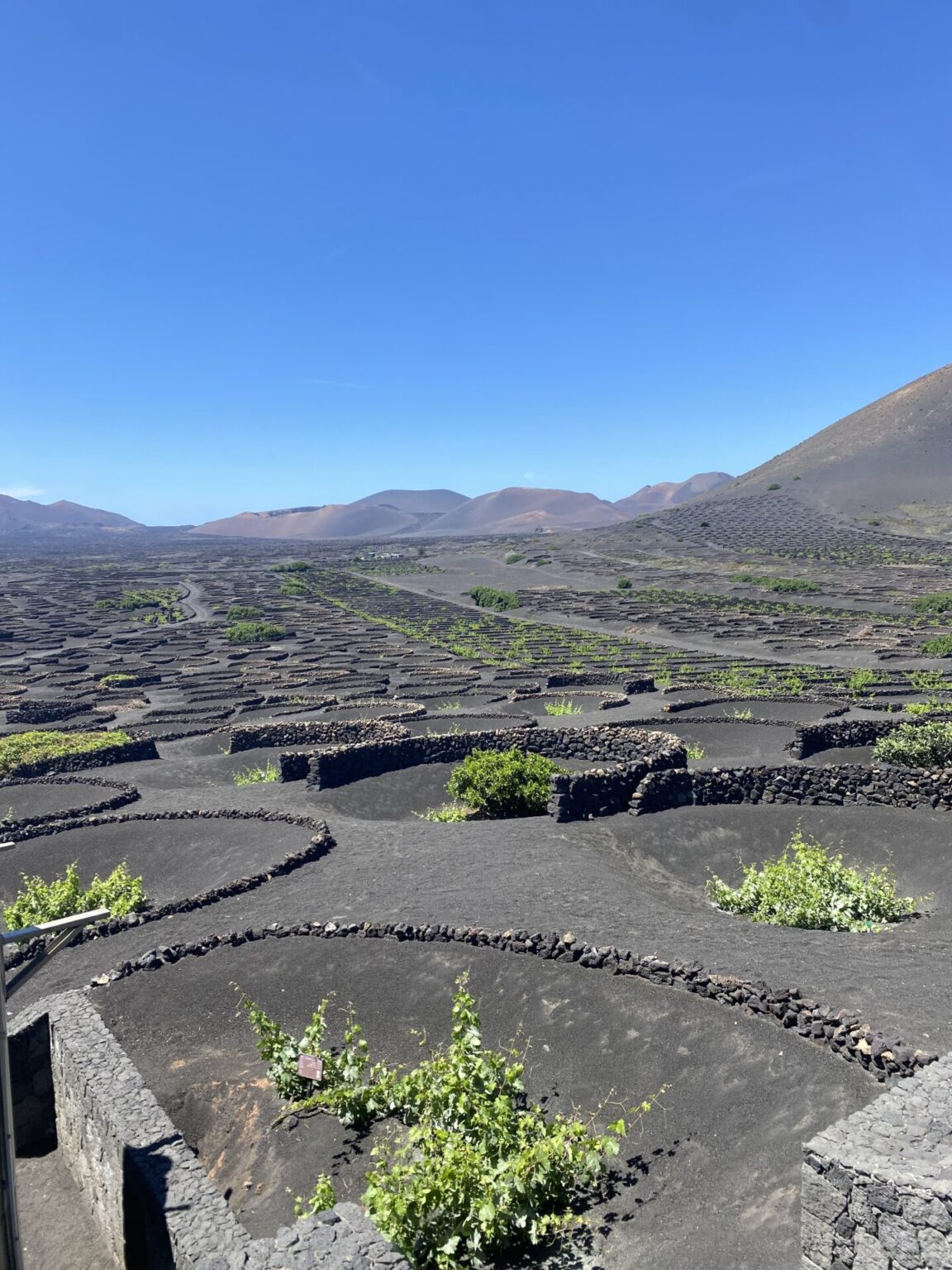 Visiting Bodega La Geria Lanzarote Winery - The Best Yet